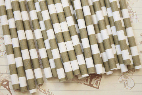 gold circle stripe paper straws | lemoncatshop