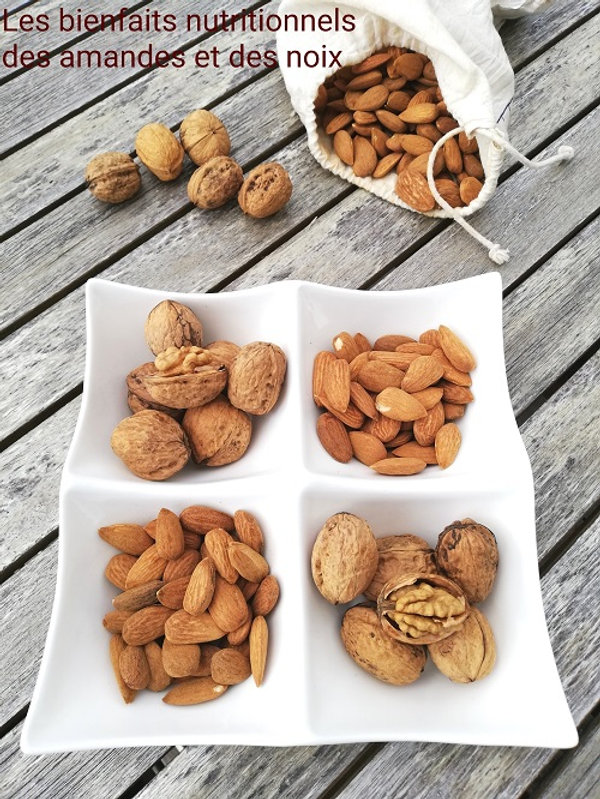 Les bienfaits nutritionnels des amandes et des noix