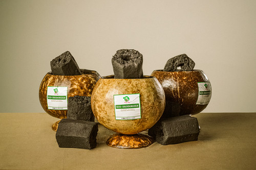 Eco-Deodorizer in Coconut Cup | Project Lily PH