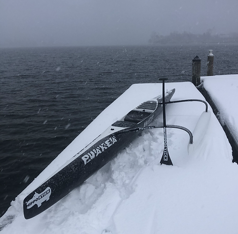 Hippostick OC Paddles | Paddle Zoo