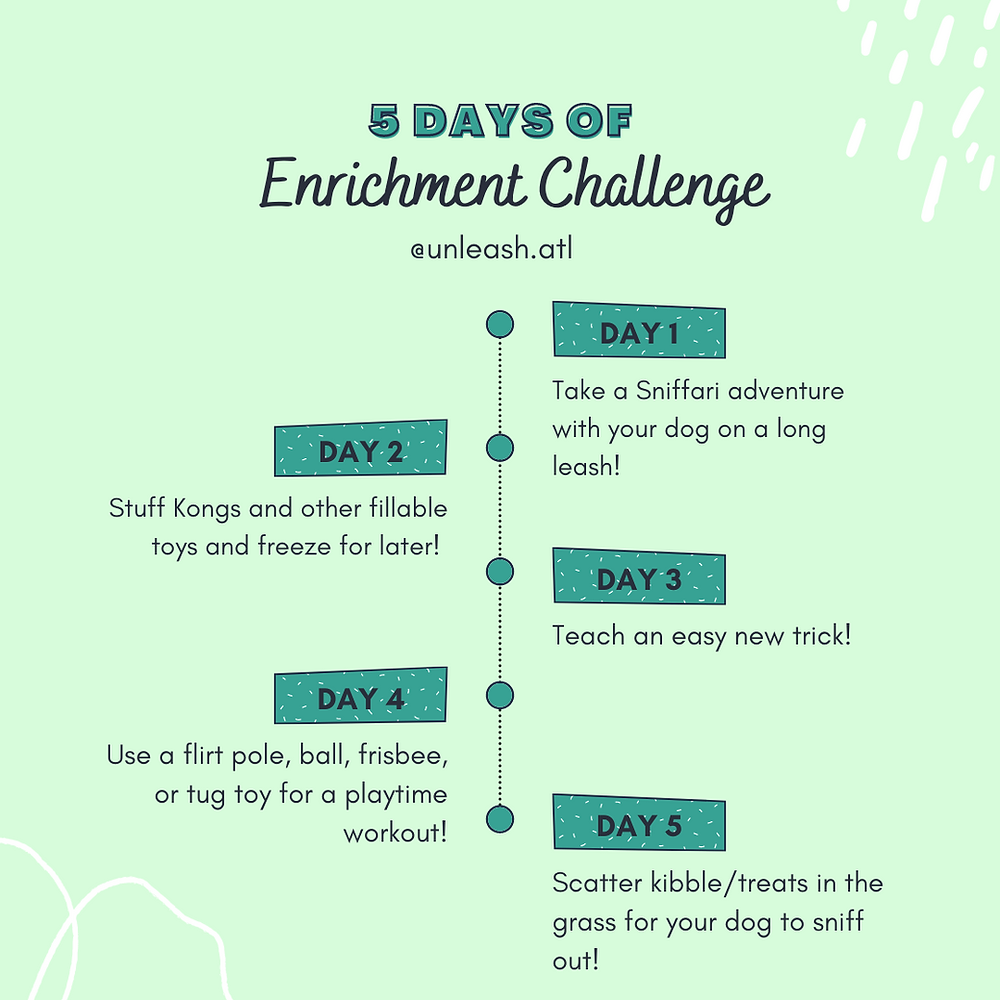 ENRICHMENT CHALLENGE