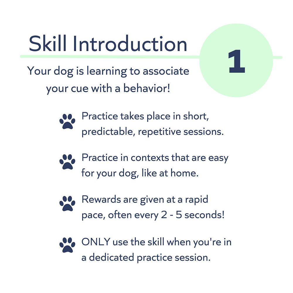 Skill Building Part 1: Skill Introduction