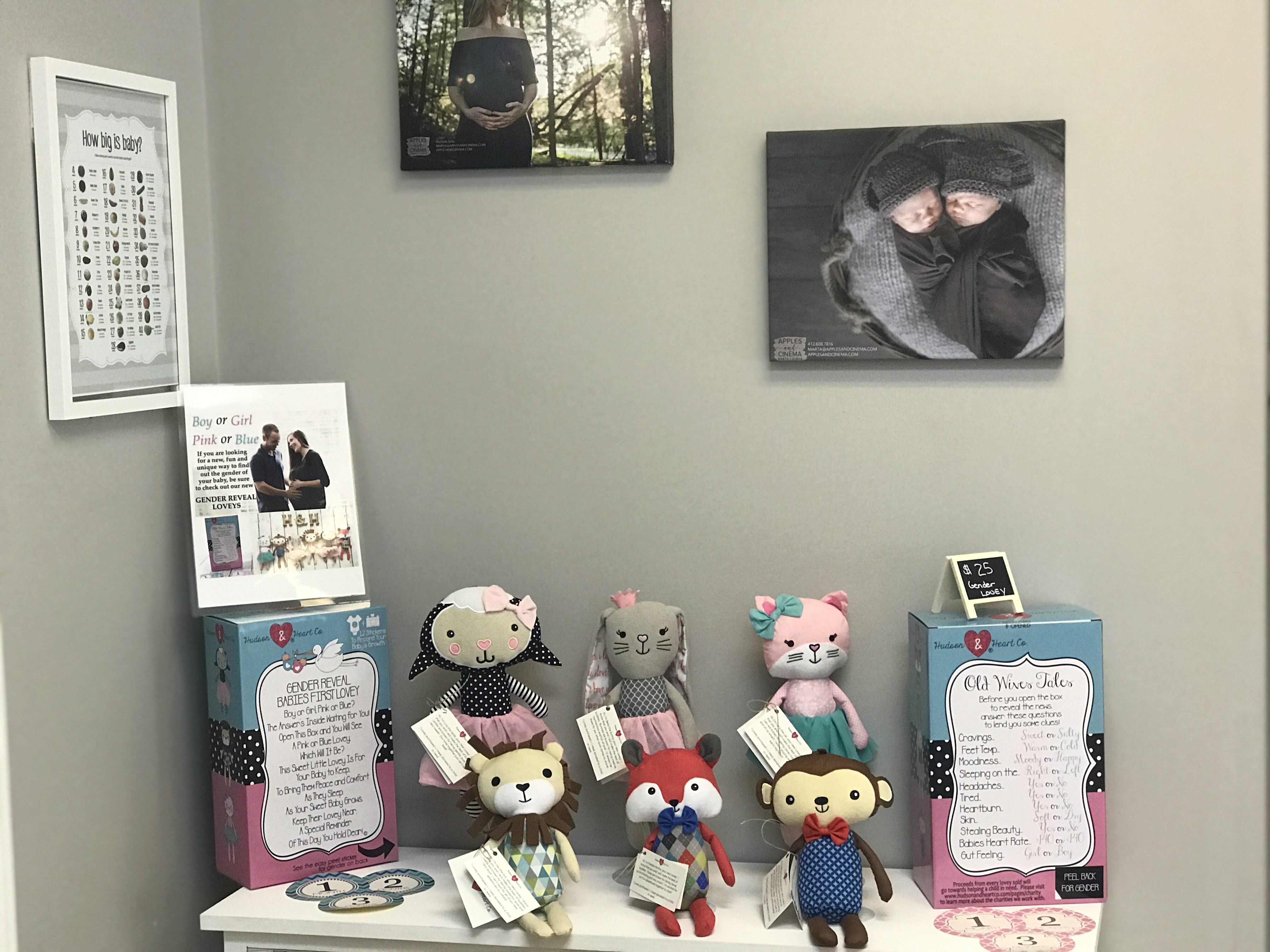 Hey Baby 4d Ultrasound Wexford, PA Gender Reveal