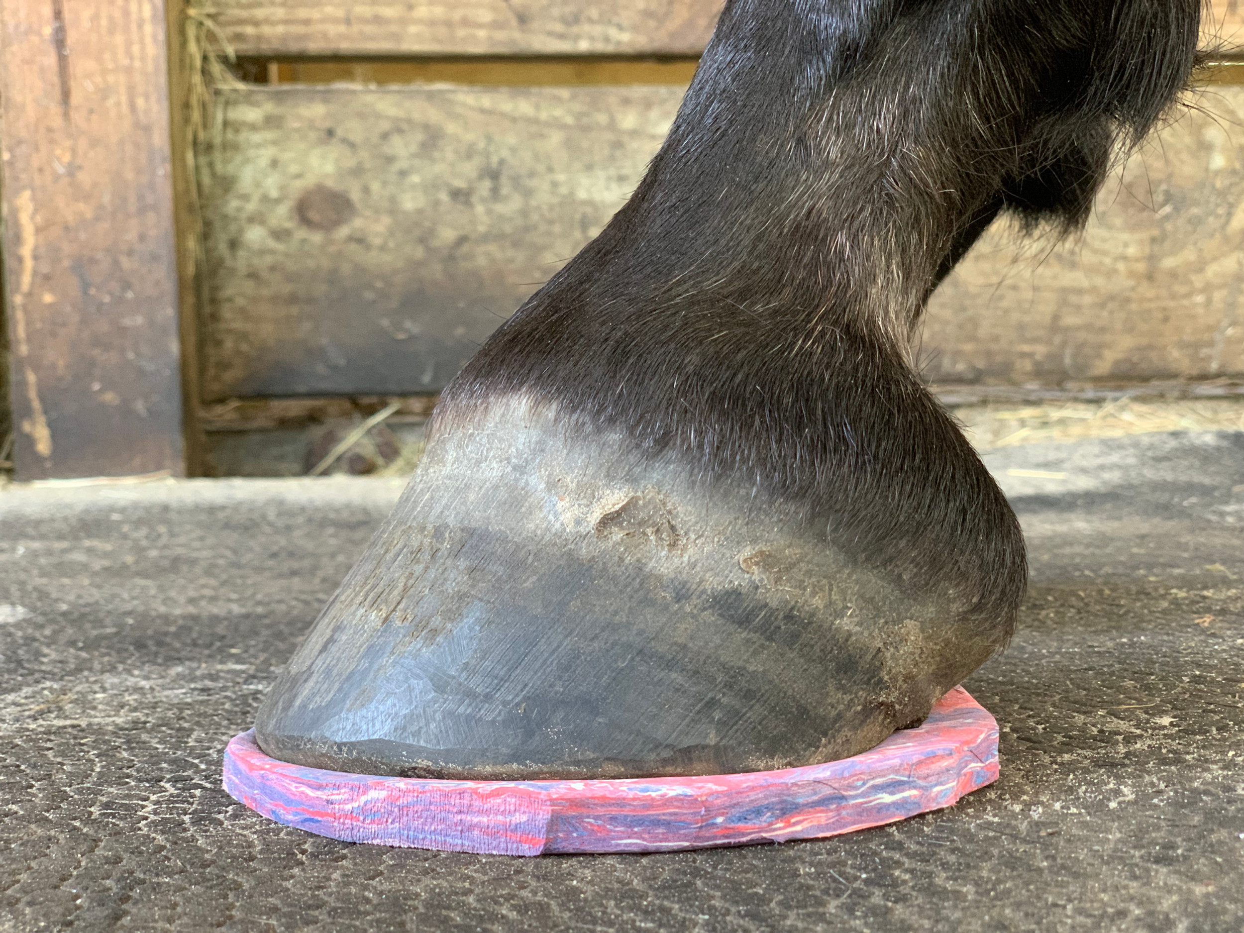Pads | Happy Hoof Therapeutic Pads
