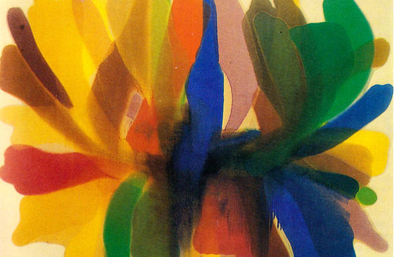 washington colour school