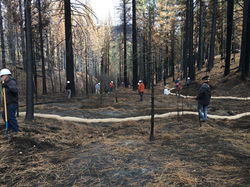 Alpine Watershed Group