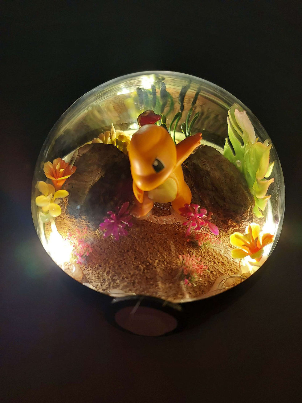 Pokemon | Anime Merchandise | Chaos Kraft