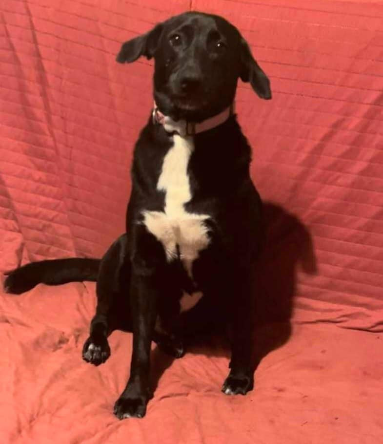 Billy, 100% tendresse