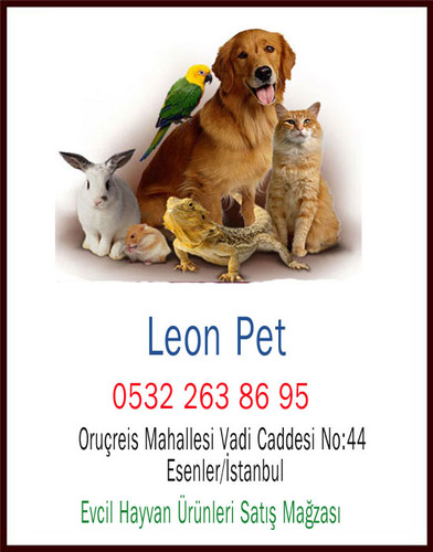 Leon Pet | Fatihhayvanhastanesi