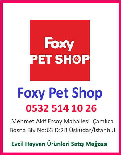 Foxy Pet Shop | Fatihhayvanhastanesi