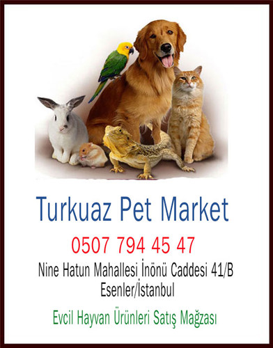 Turkuaz Pet Market | Fatihhayvanhastanesi