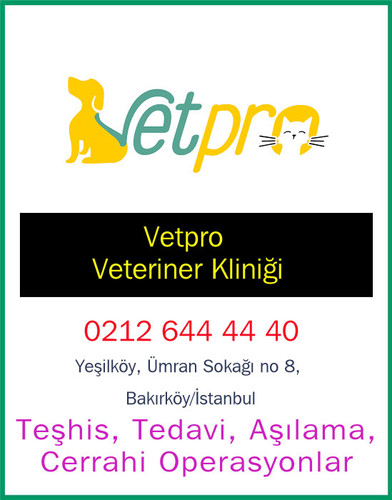 Vetpro Veteriner Kliniği | minikkalplervet