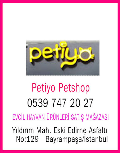 Petiyo Petshop Bayrampaşa | Fatihhayvanhastanesi