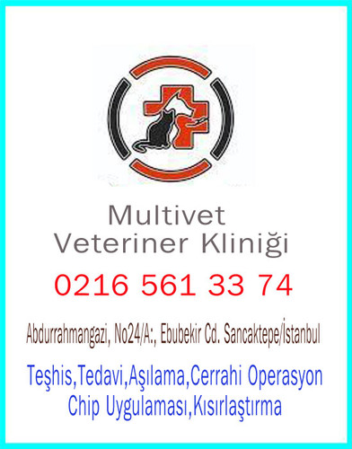 Multivet Veteriner Kliniği | Fatihhayvanhastanesi