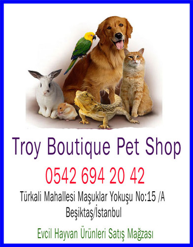 Troy Boutique Pet Shop | Fatihhayvanhastanesi