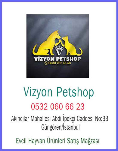 Vizyon Petshop | Fatihhayvanhastanesi
