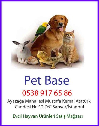 Pet Base | minikkalplervet