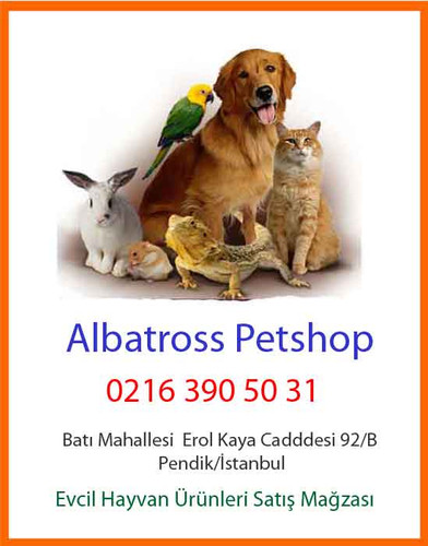 Albatross Pet Shop | Güneşli Veteriner