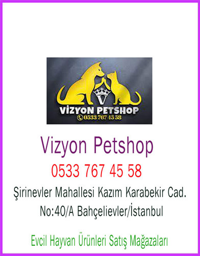 Vizyon Petshop | Fatihhayvanhastanesi