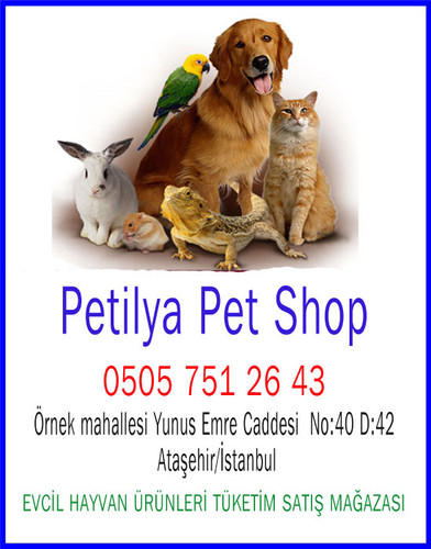 Petilya Pet Shop | Fatihhayvanhastanesi
