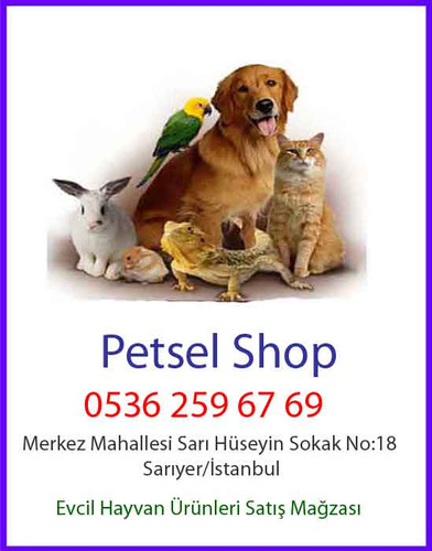 Petsel Shop | Fatihhayvanhastanesi
