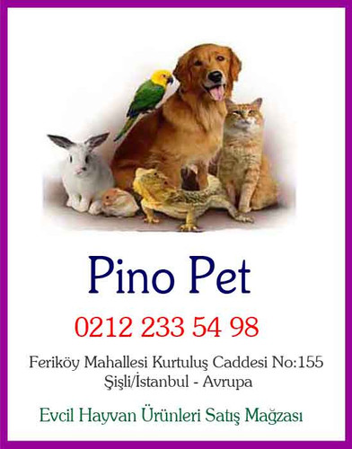 Pino Pet | Fatihhayvanhastanesi
