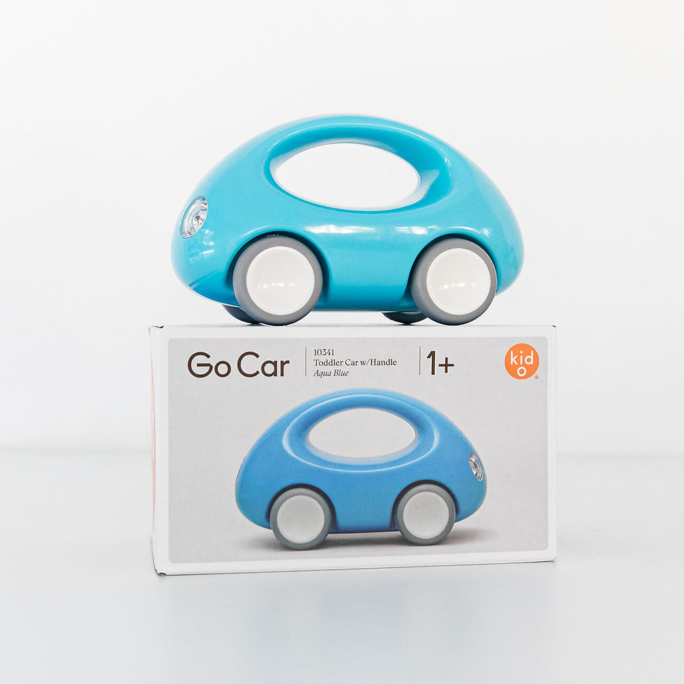 Go Car | Age of Reason