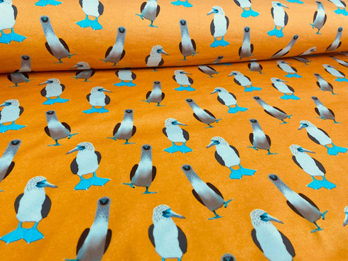 EXCLUSIVE Mustard Blue Footed Boobies (Loop Backed Lycra) | Knighton ...