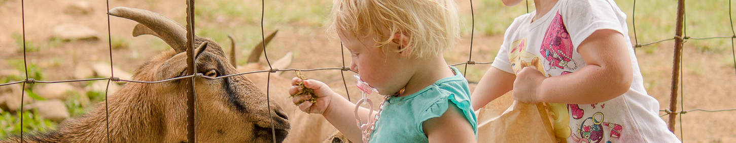 GALLERY | Mountain Splendour