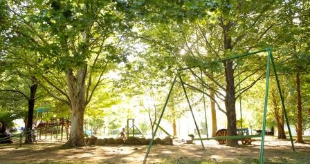 GALLERY | Mountain Splendour