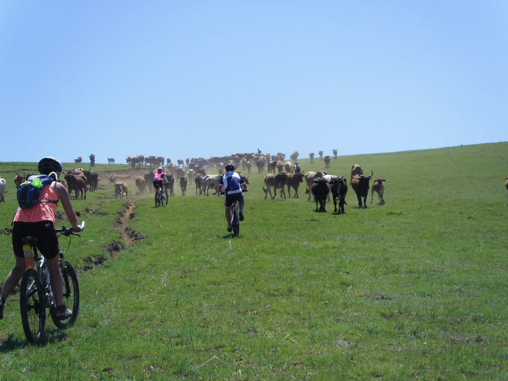 GALLERY | Glamping Drakensberg | Mountain Splendour | South Africa