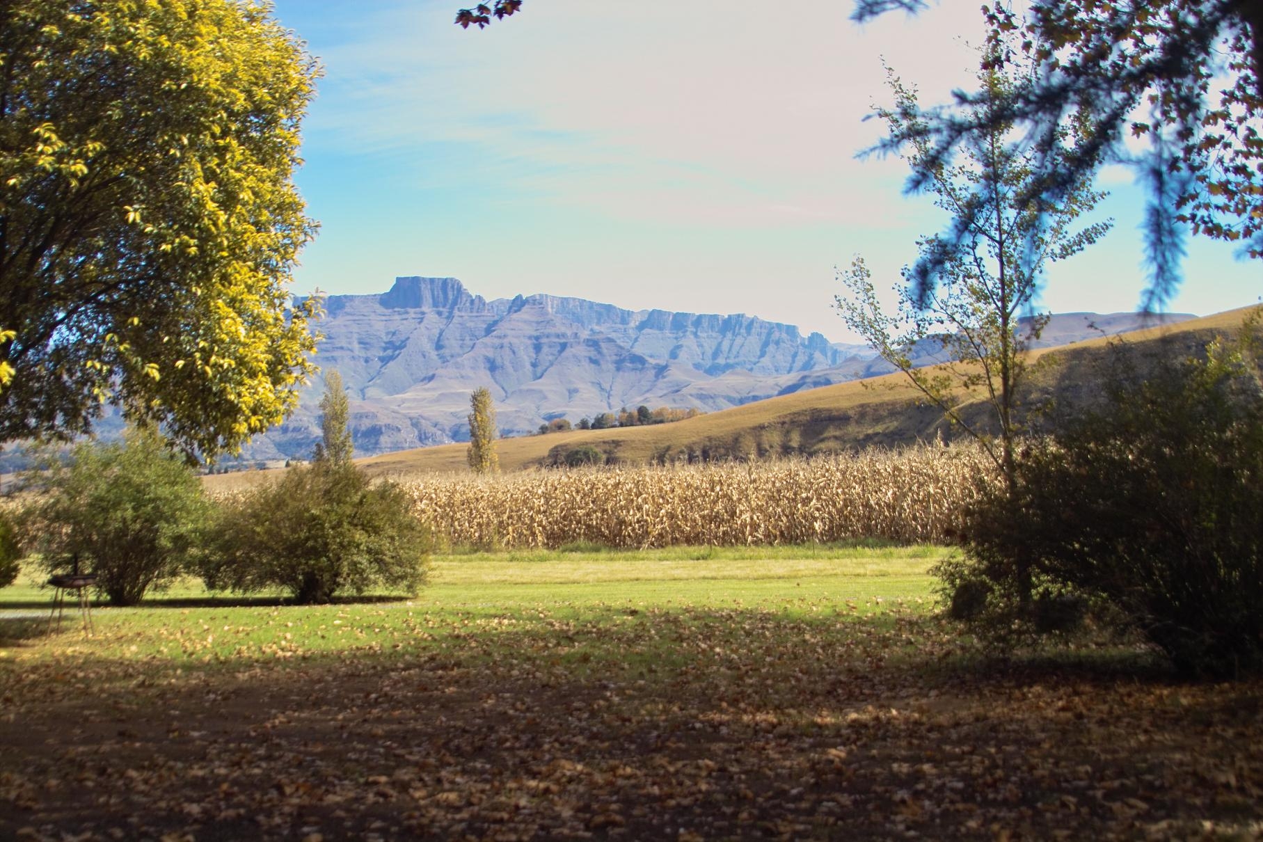 GALLERY | Glamping Drakensberg | Mountain Splendour | South Africa