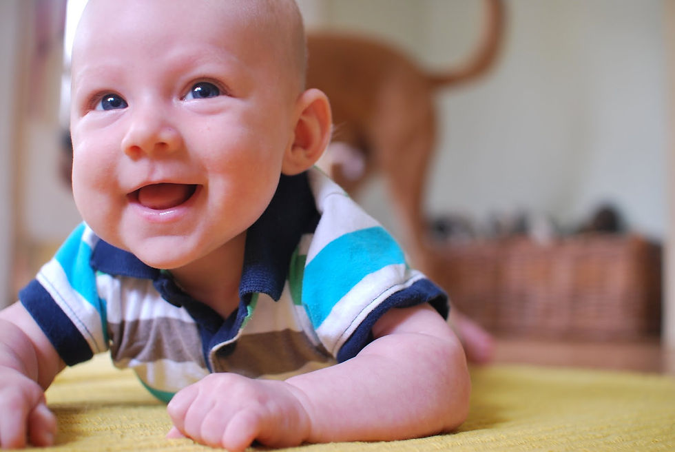 Paradigm Kids Montessori Preschool Pretoria East