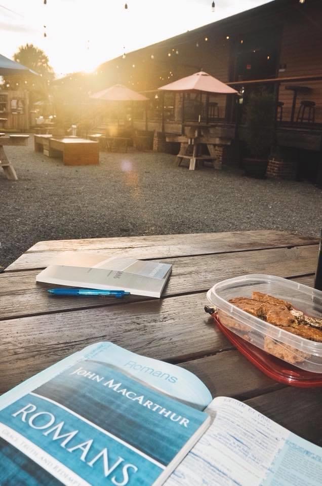 Best Things to do in Gainesville, Florida