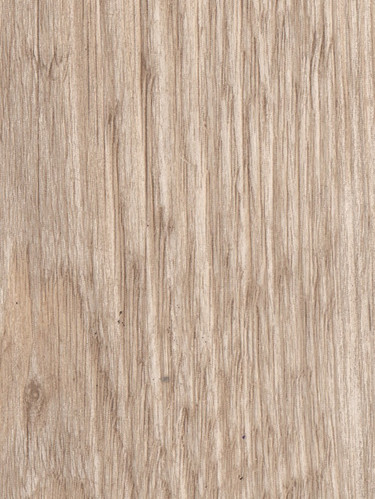 Bleached Elm | Enzofloor