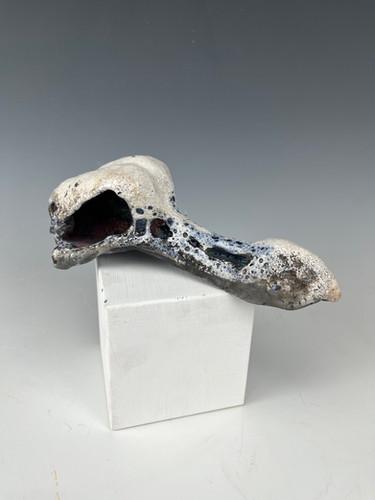 Dodo, extinct 1681 SOLD | D'Arcy Simpson Art