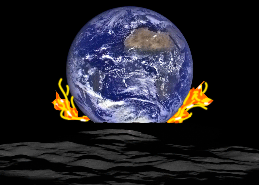 Animated Gifs | Zachsmedia