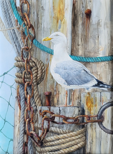 Marine Habitat - Daphne Ellman SWA | Seaview Art Gallery
