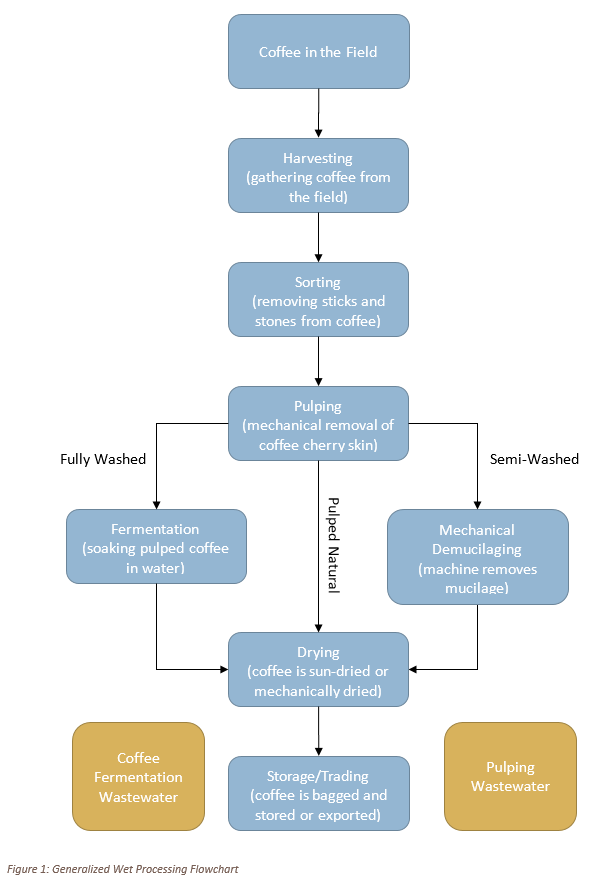 Wet Processing: An In-Depth Look