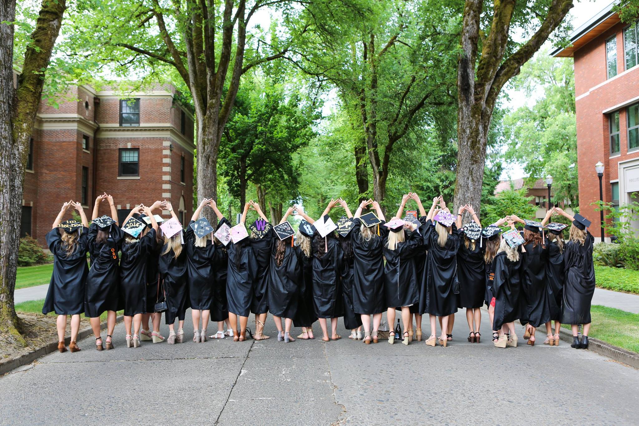 oregonstateaxo