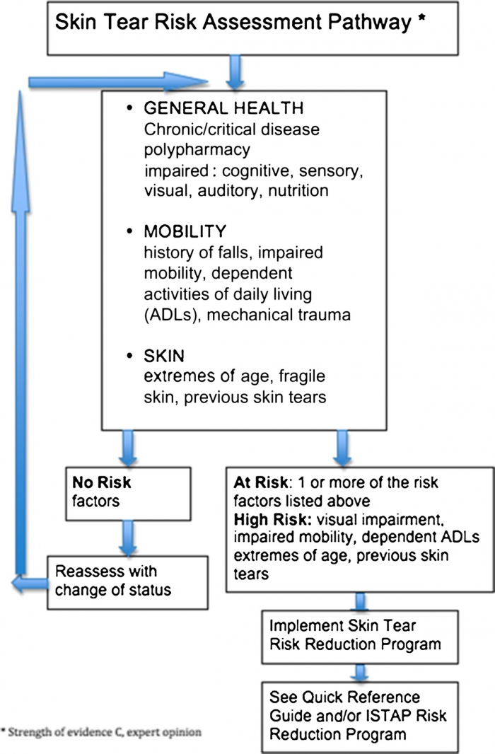 Resources & Downloads | ISTAP