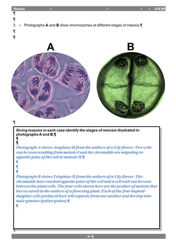 Biology A Level (OCR) - Yr1 Worksheets, Answers, Spreadsheets (OCR ...