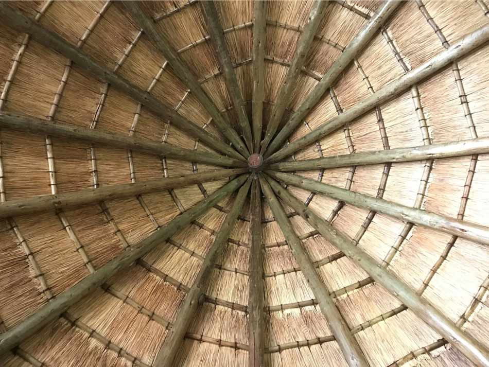 Building & Thatched Roof Poles | MTO Group