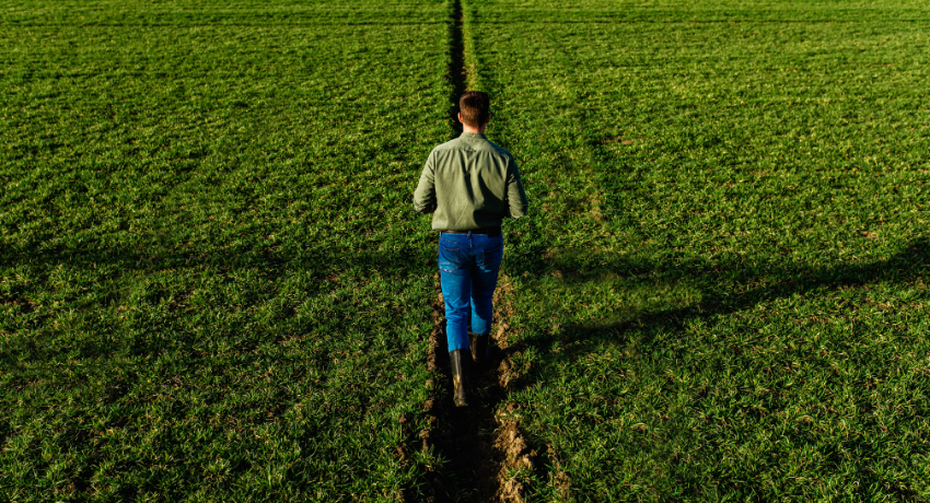 NeoSpectra by Si-Ware Puts Customers, Technology First with Website ...