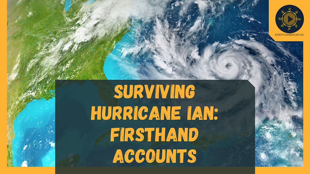 Surviving Hurricane Ian: Firsthand Accounts