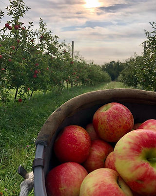 Ochs Fruit Farm - Lancaster OH