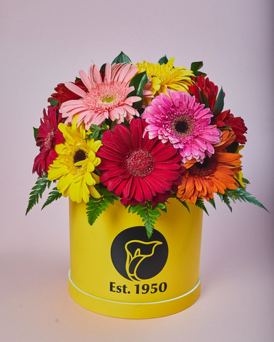 Daisy Box | Florería Orizabeña