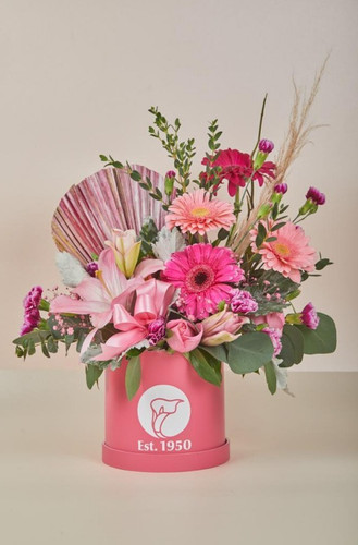 Pink Suki | Florería Orizabeña