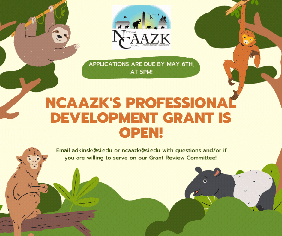 Updates & Events | NCAAZK