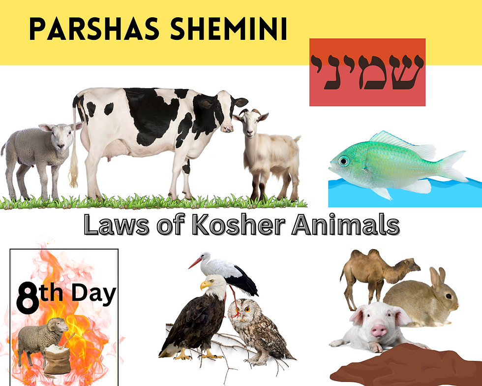 Parshas Shemini